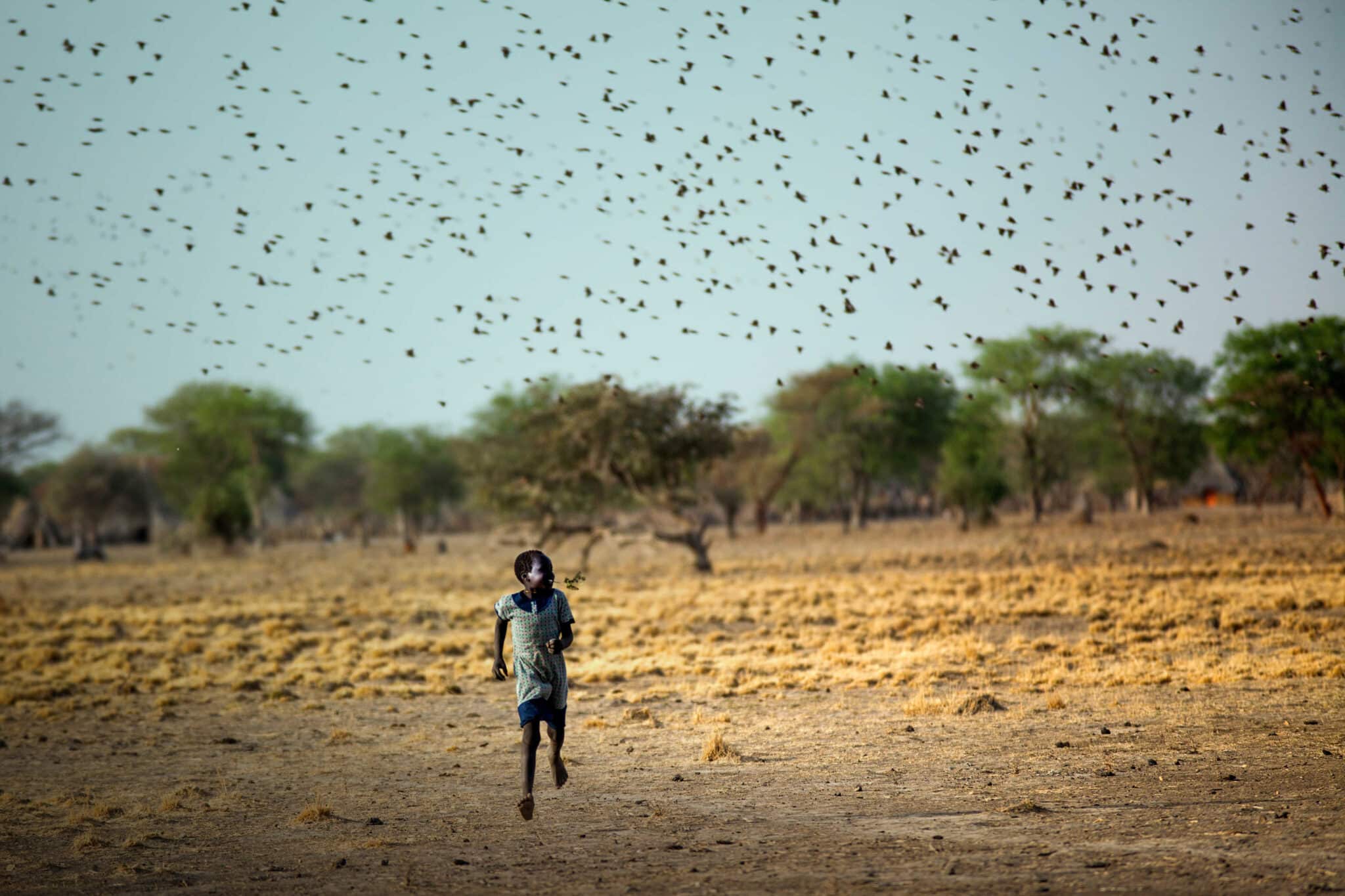 Estimating displacement risk in a changing climate - HABITABLE